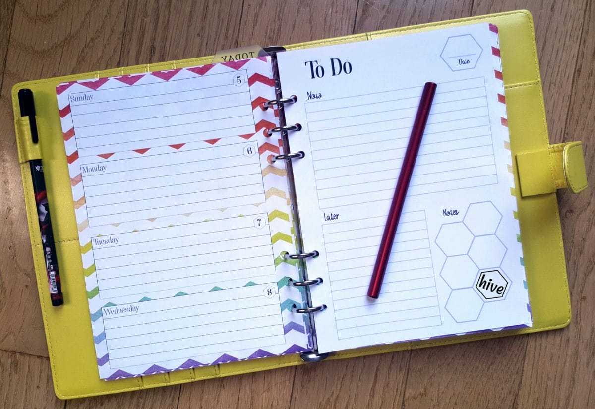 PRINTABLE To Do List Pages - Designs by Little Bee