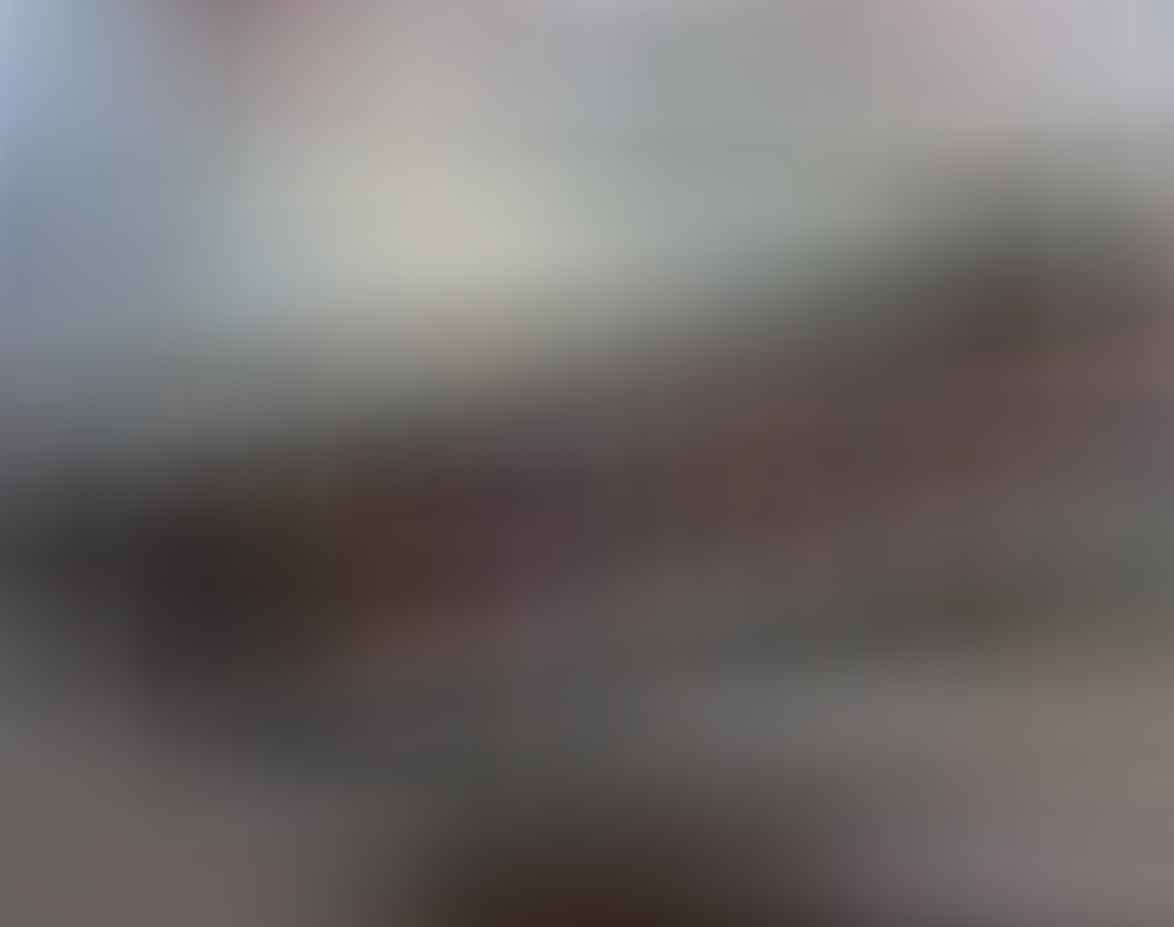 2025 December Coupon Codes & FREEBIES - Designs by Little Bee